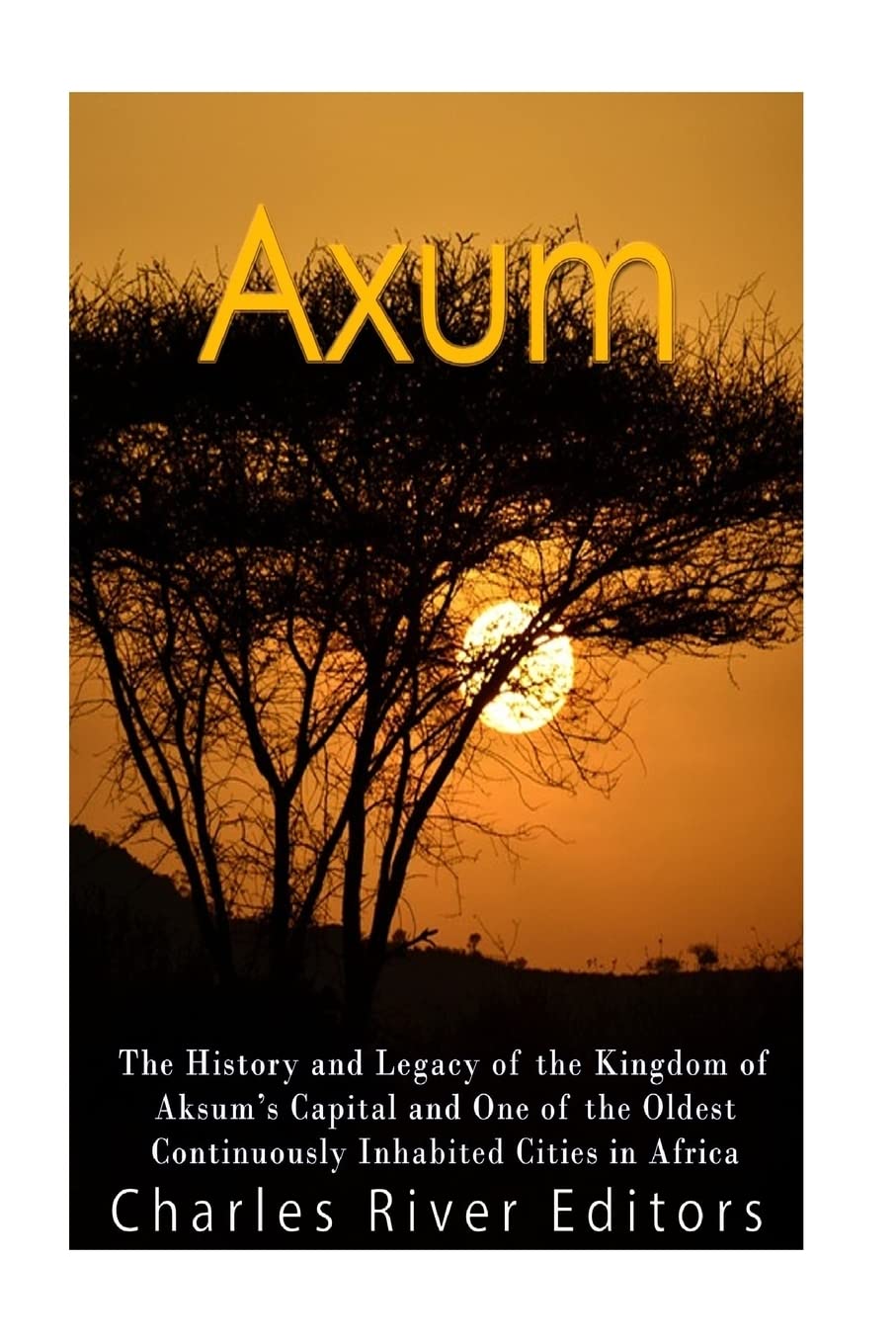 Axum: The History and Legacy of the Kingdom of Aksum’s Capital and One ...