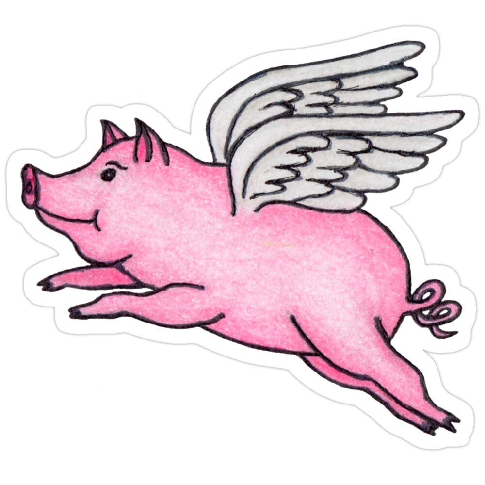Amazon.com: Big Lens store Flying Pig Stickers (3 Pcs/Pack)