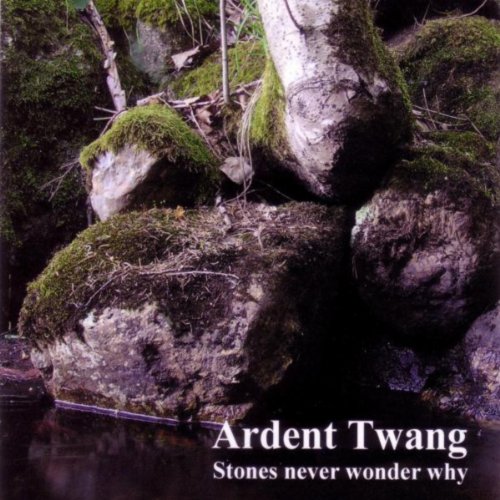 Play Stoned Never Wonder Why by Ardent twang on Amazon Music