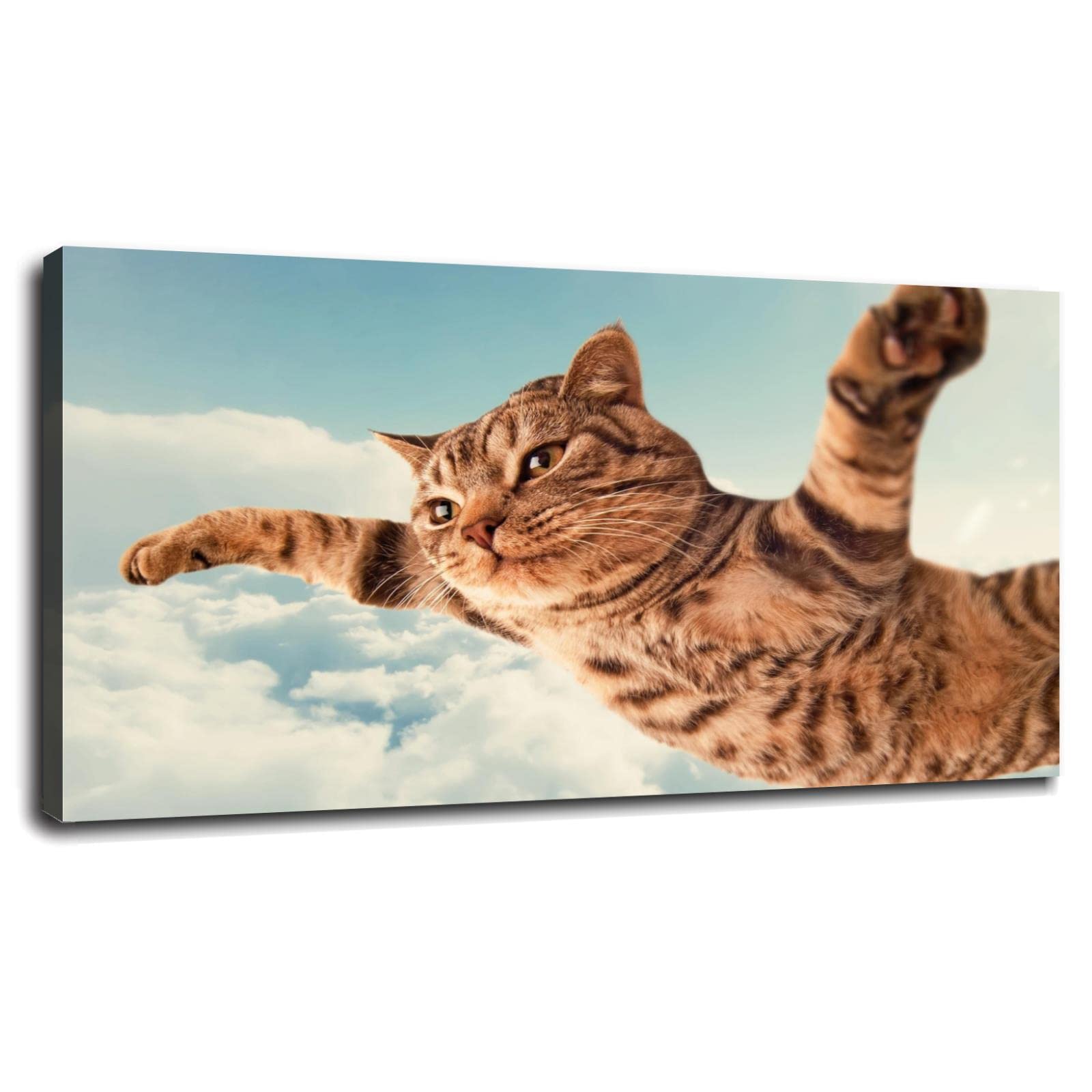 Funny Flying Cat