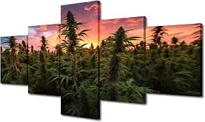 Amazon.com: Canvas Wall Art Marijuana Plant Printed Wall Paintings 5 ...