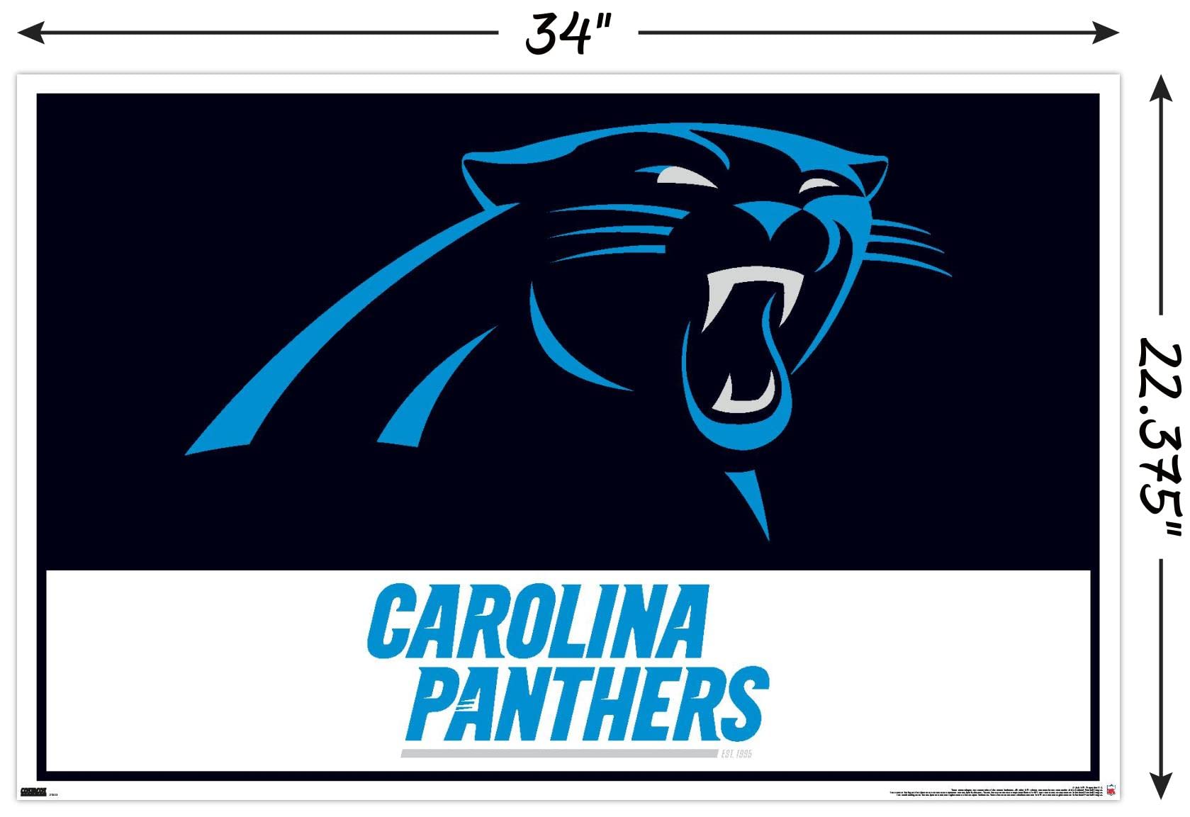Nfl Panthers Logo