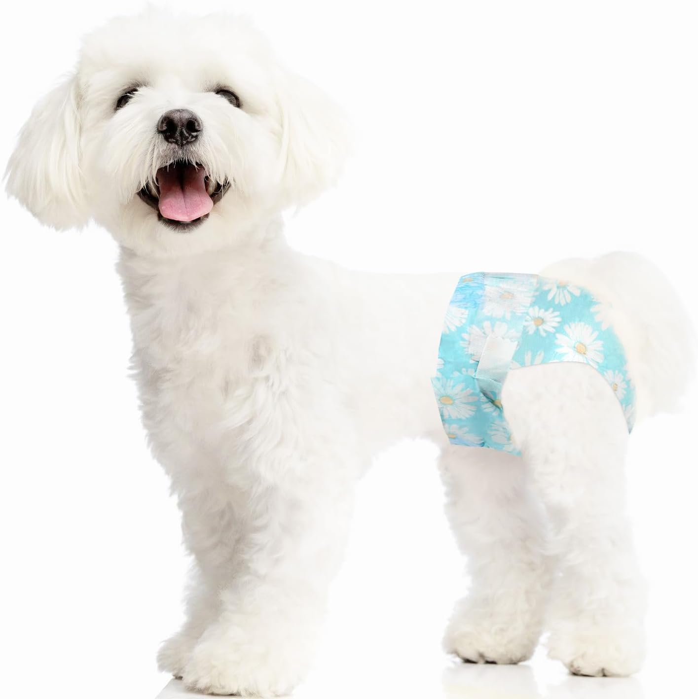 Amazon.com : Ambreview Disposable Dog Diapers for Female Dogs, Super ...