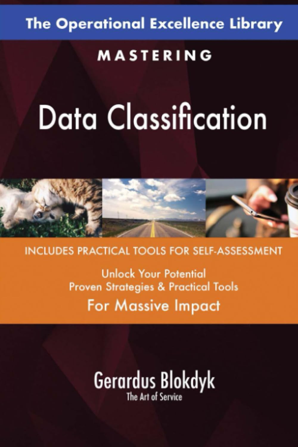 Amazon.com: The Operational Excellence Library; Mastering Data ...