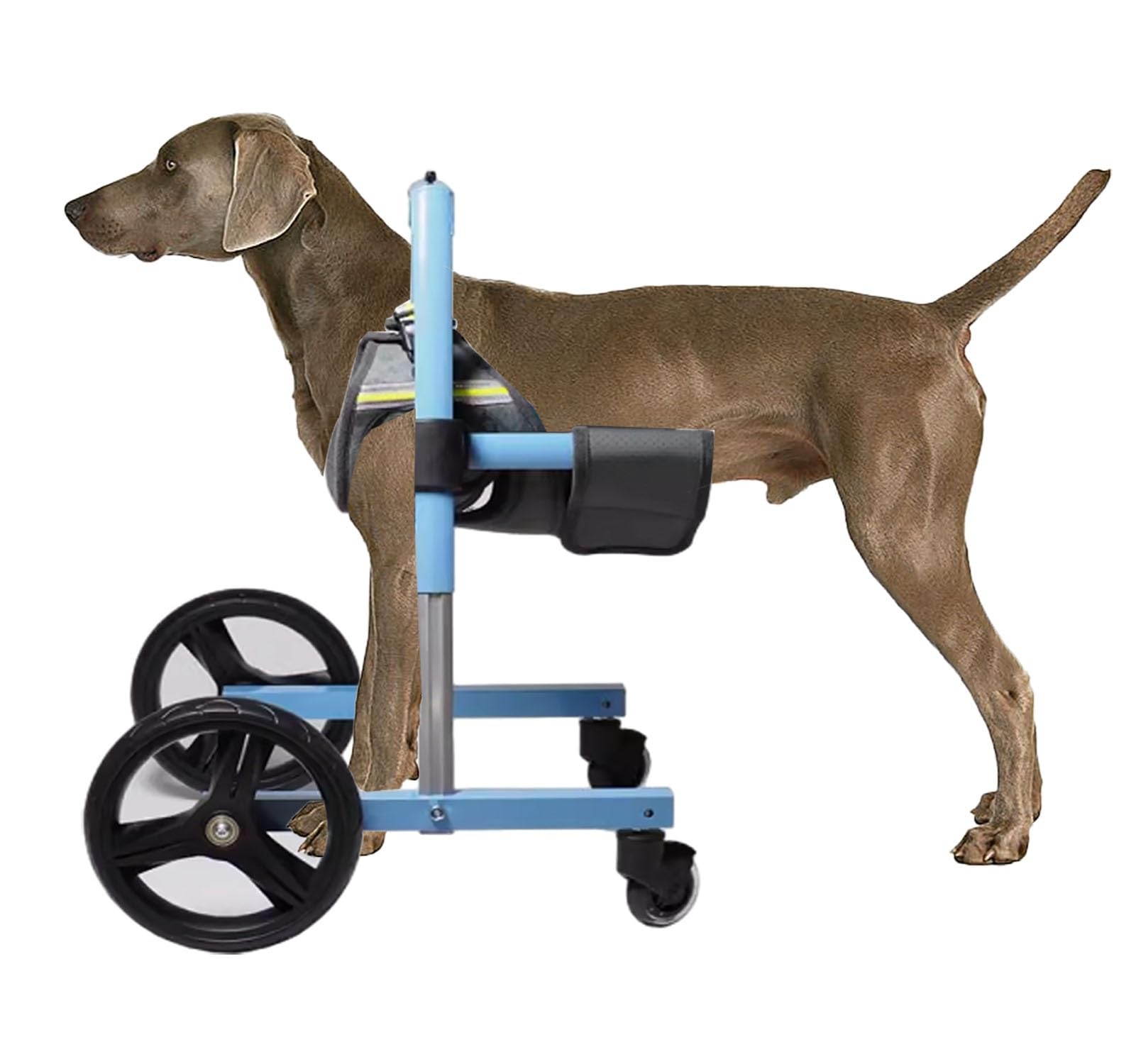 Pvc Wheels For Dogs Front Legs Frontal Wheelchair