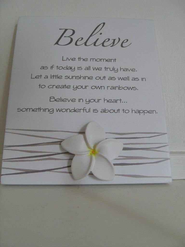 Amazon.com: Splosh Poem Believe Frangipani : Home & Kitchen