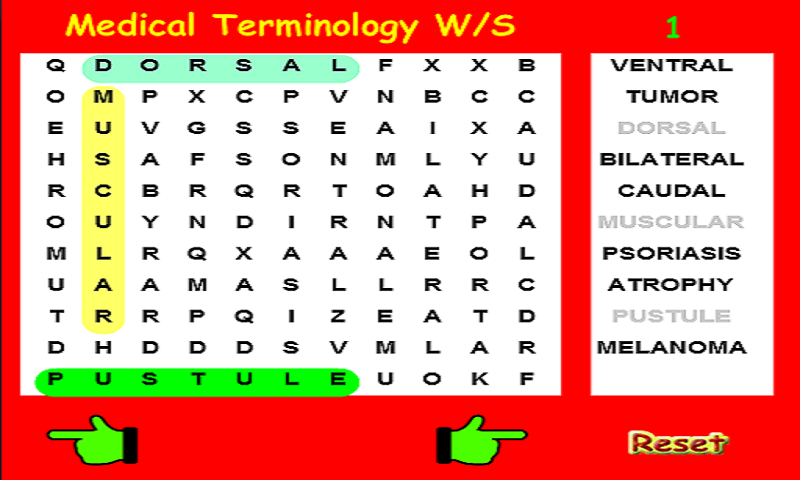 Medical Terminology Word Search - Practice Your Medical Terminology ...