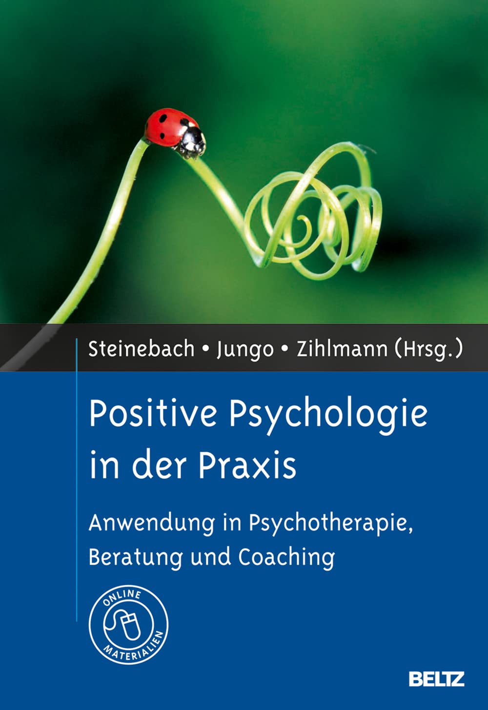 Positive Psychologie in der Praxis: Anwendung in Psychotherapie ...