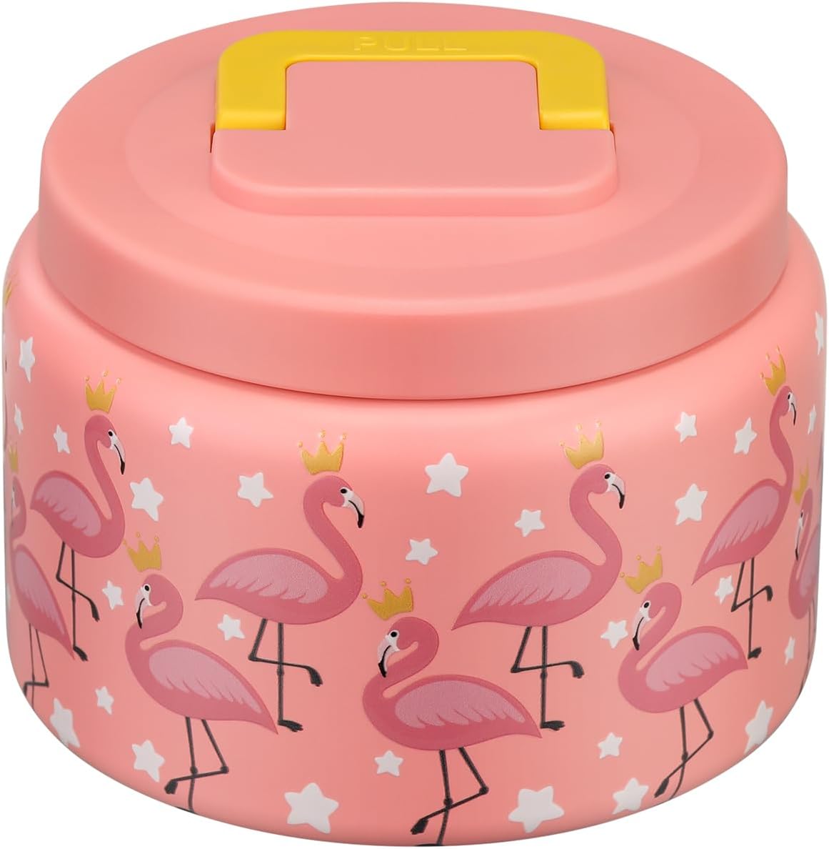Amazon.com: PIQUEBAR 8 Ounce Kids Thermos For Hot Food Vacuum Soup ...