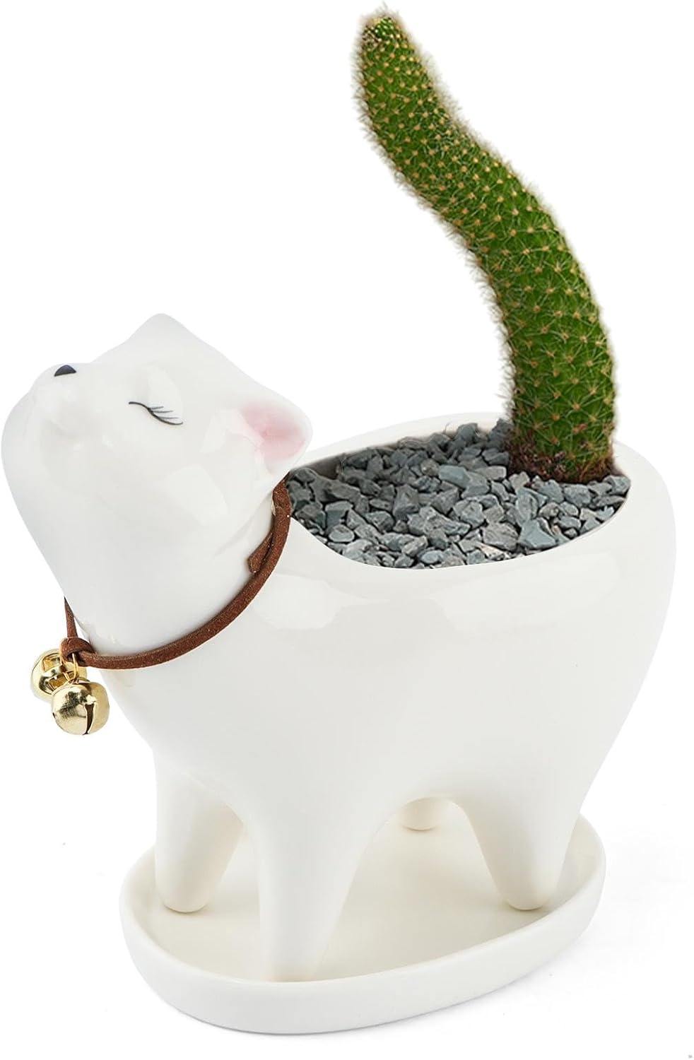 Amazon.com : Kryslanix Unique Tailless Cat Little Planter Pot,Adorable ...