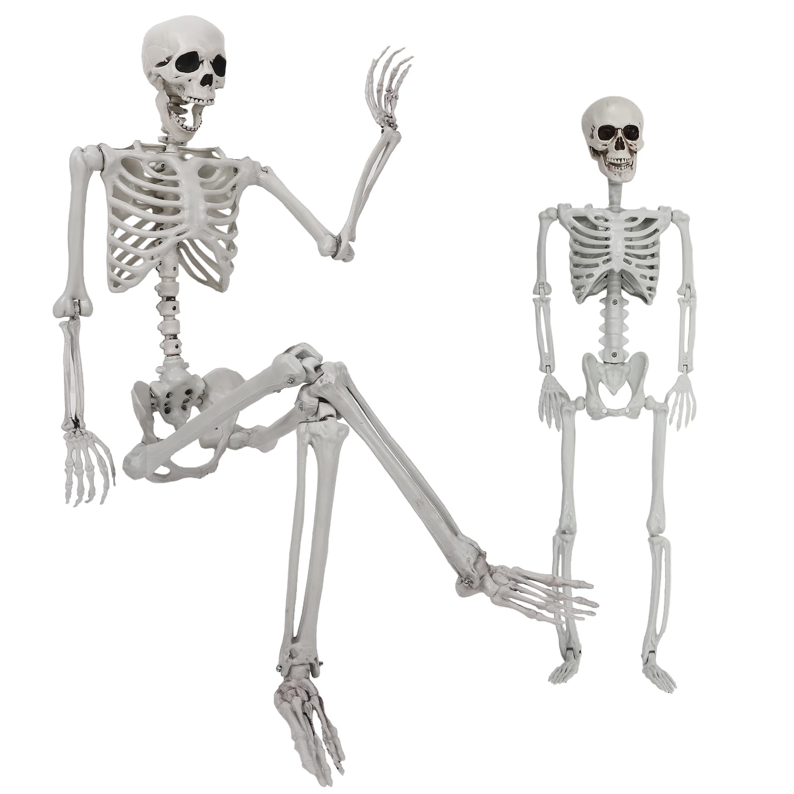 Snapklik.com : BADCOLOR Halloween Life Size Skeleton Adult (5 4 ...