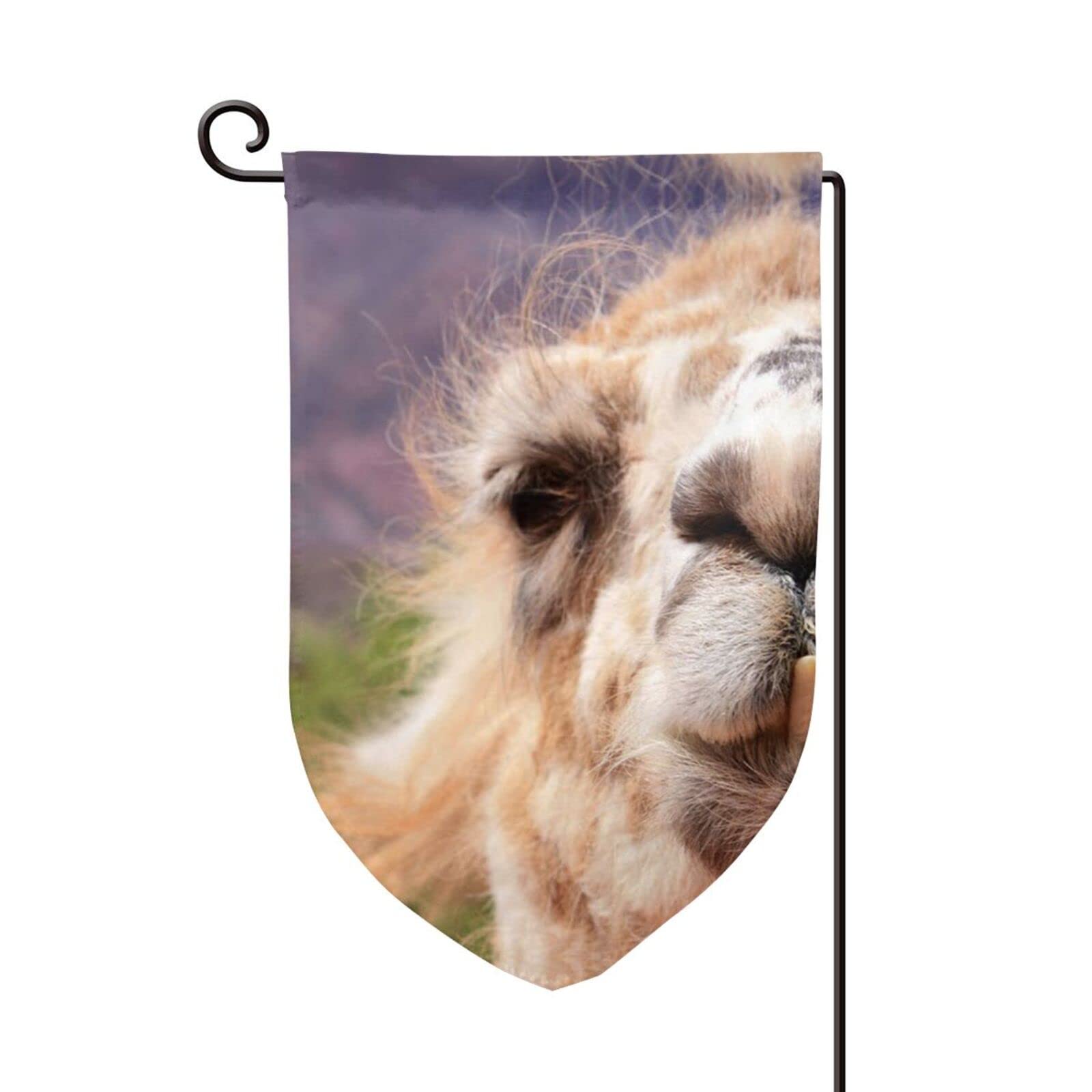 Alpaca Flag