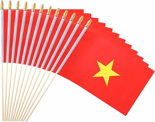 Amazon.com : Ckexin 25Pack Small Vietnam Flag Handheld Mini Vietnamese ...