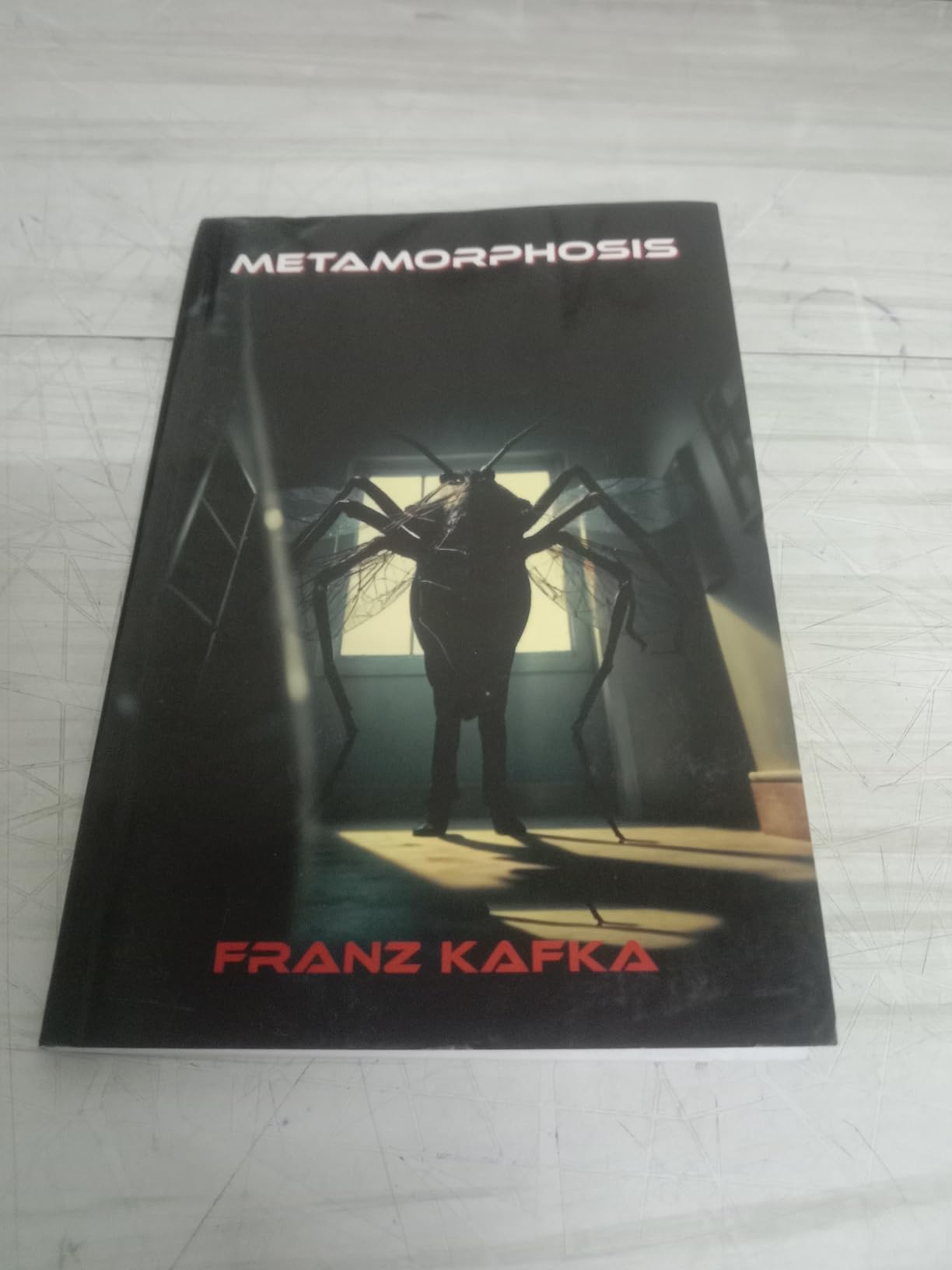 Buy Metamorphosis | The Changeover Book Online at Low Prices in India ...