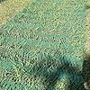 Amazon.com : RutGuard Grass Protection Mesh - 3'x50' Roll (150sf ...