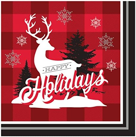 Amazon.com: Creative Converting 324830 192 Count Lunch Paper Napkins ...