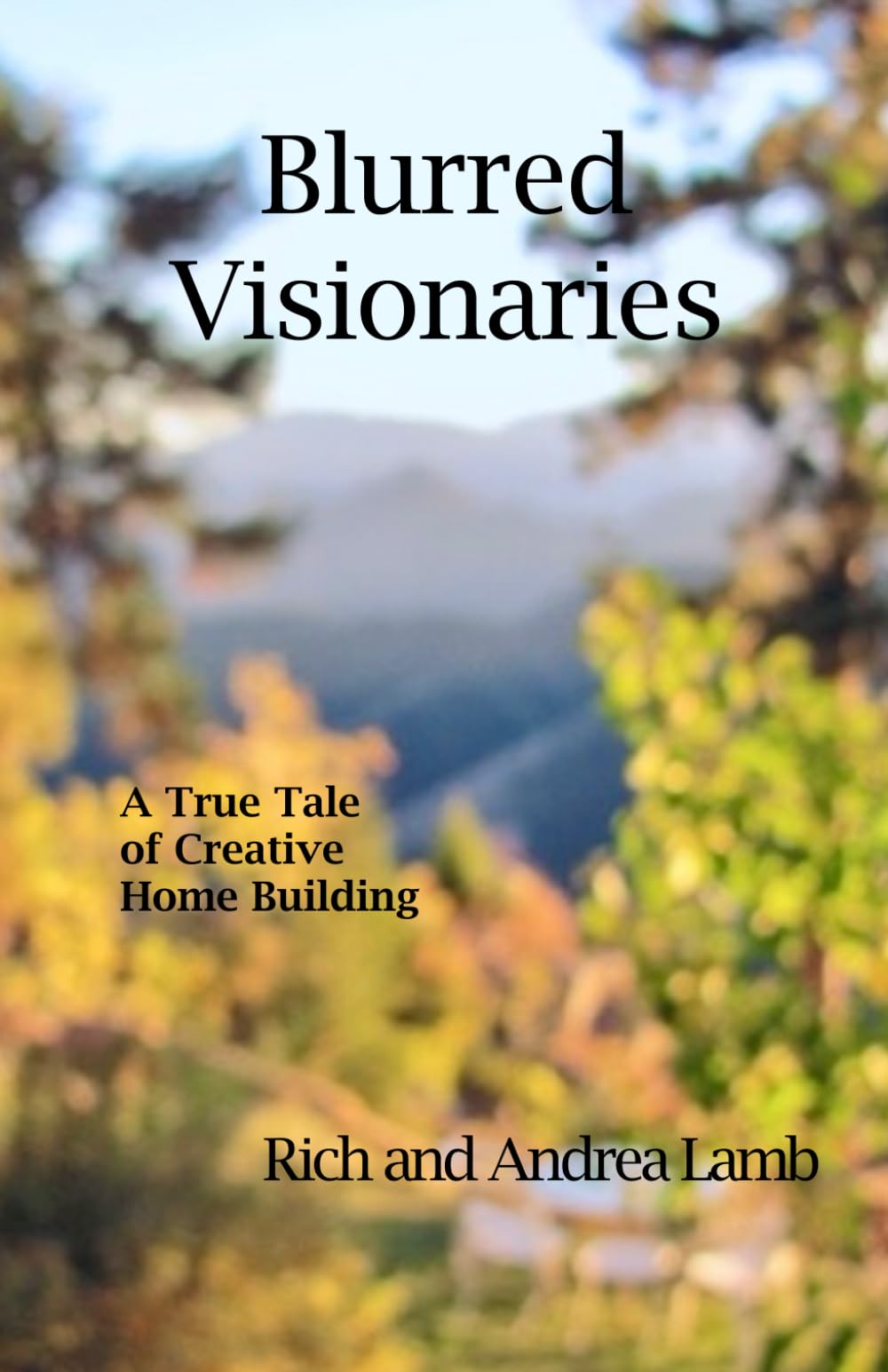 Blurred Visionaries: A True Tale of Creative Home Building: Lamb ...