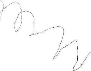 Amazon.com: Darice MOON-114 Moon Lites X120 S.White Timer 12V, Black ...