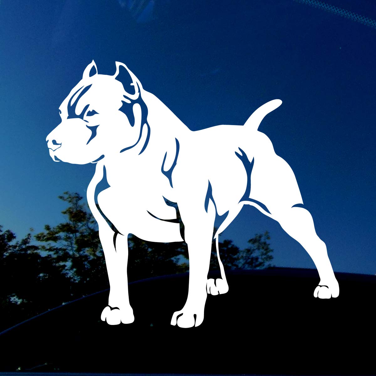 Pitbull Decal