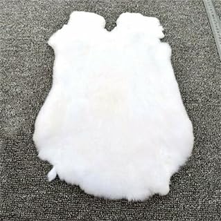 White Cat Skins: The Ultimate Guide To Their Uniqueness | PetShun