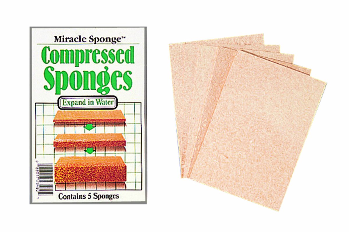 Amazon.com: Compressed Sponges 4/Pkg, 3"X4"