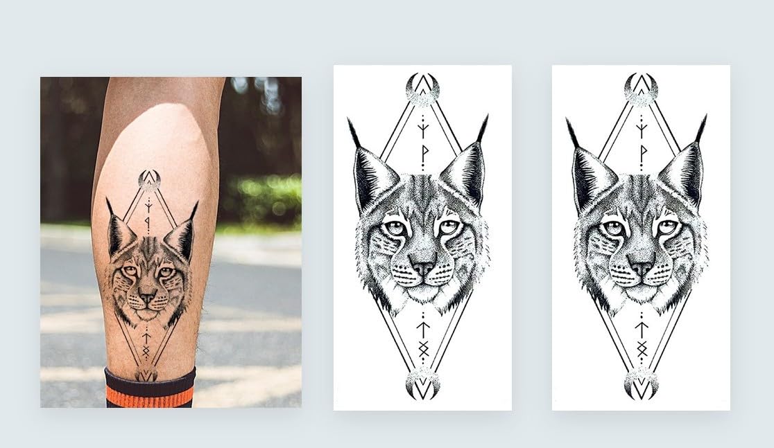 Scottish Wildcat Tattoos The Wildcat In Scotland Aigas Field Centre