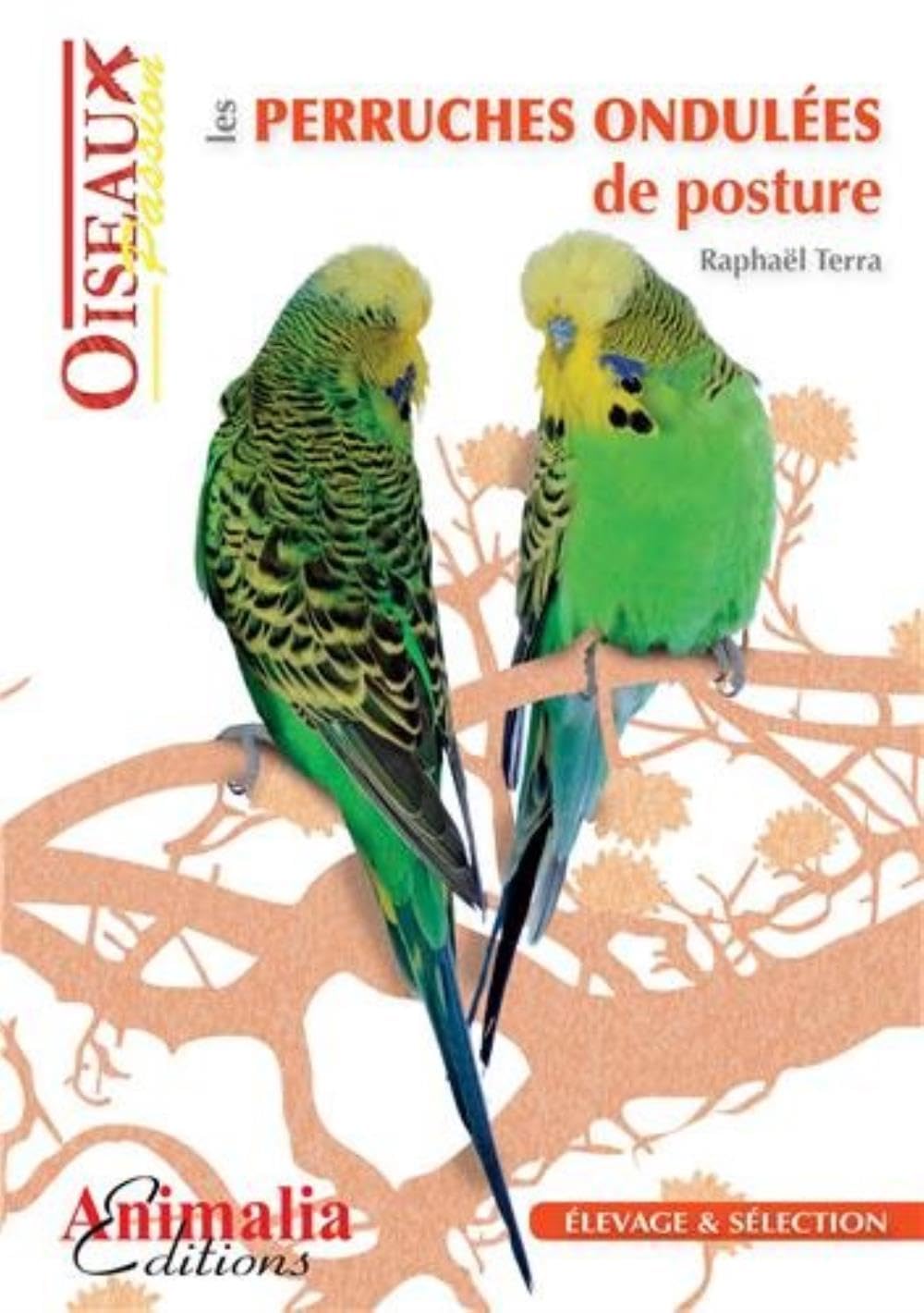 Amazon.co.jp: Les perruches ondulées de posture : 本