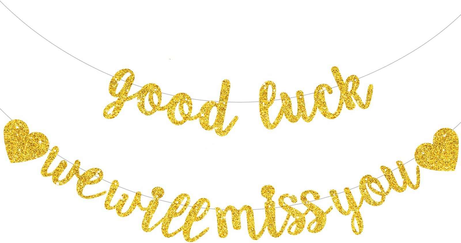 Amazon.com: BEISHIDA Sliver Good Luck We Will Miss You Banner,Pre ...