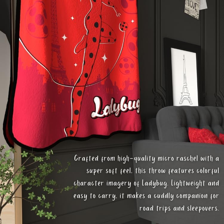 Franco Miraculous Tales of Ladybug and Cat Noir Kids Bedding Super Soft ...