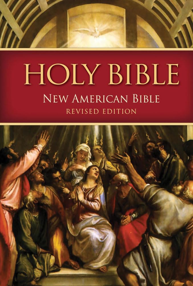 NABRE - New American Bible Revised Edition (Quality Paperbound ...