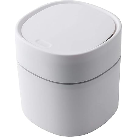 Amazon.com: Mini Trash Can with Lid, Stainless Steel Small Tiny Trash ...