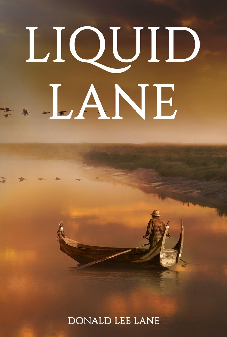 Amazon.com: Liquid Lane eBook : Lane, Donald Lee : Kindle Store