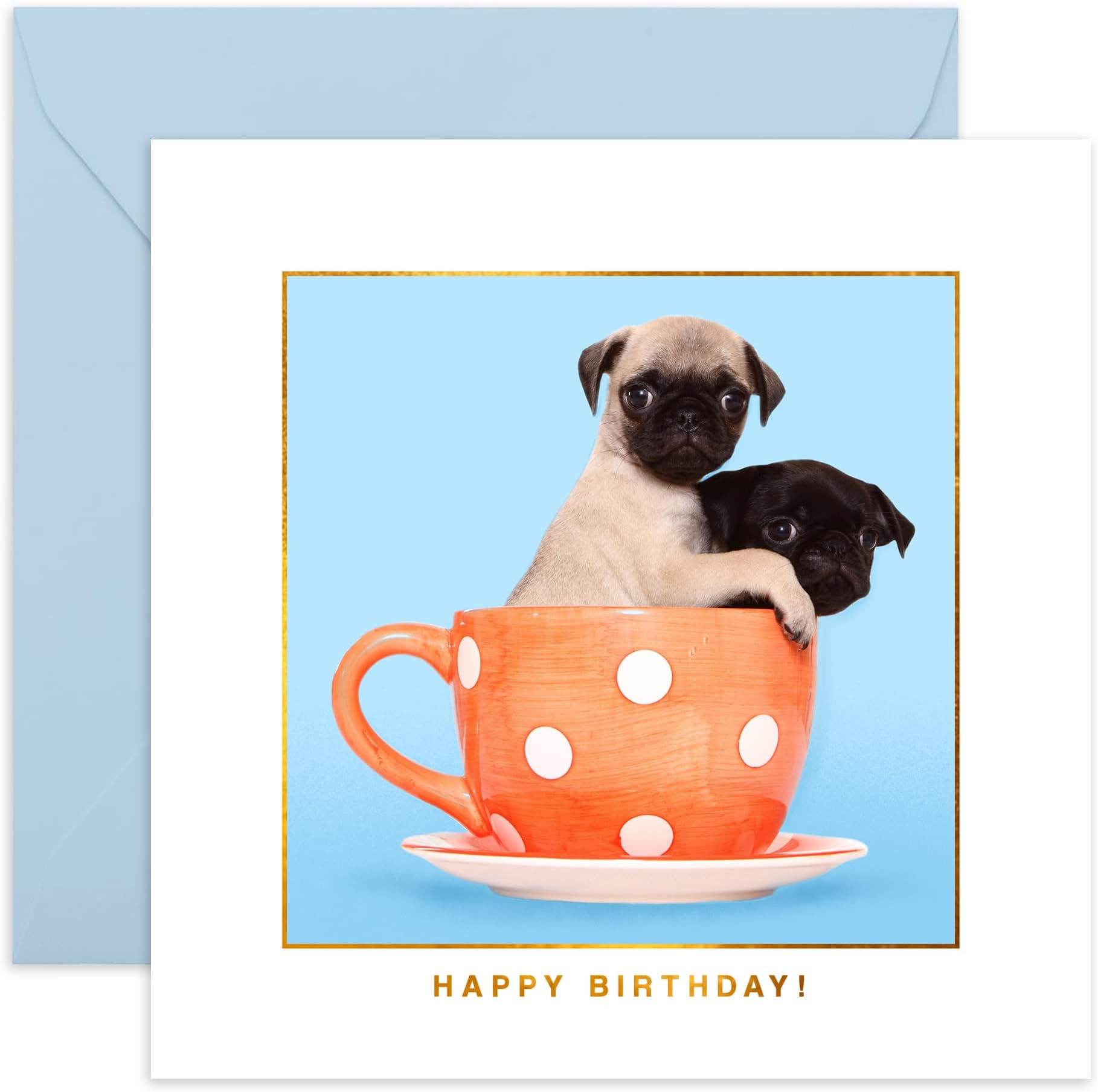 Amazon.com: Funny Pug Dog Happy Birthday Card for him or her | for Best ...