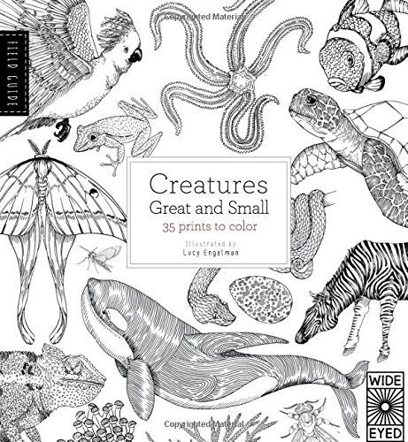 Field Guide: Creatures Great and Small: 35 prints to color: Engelman ...