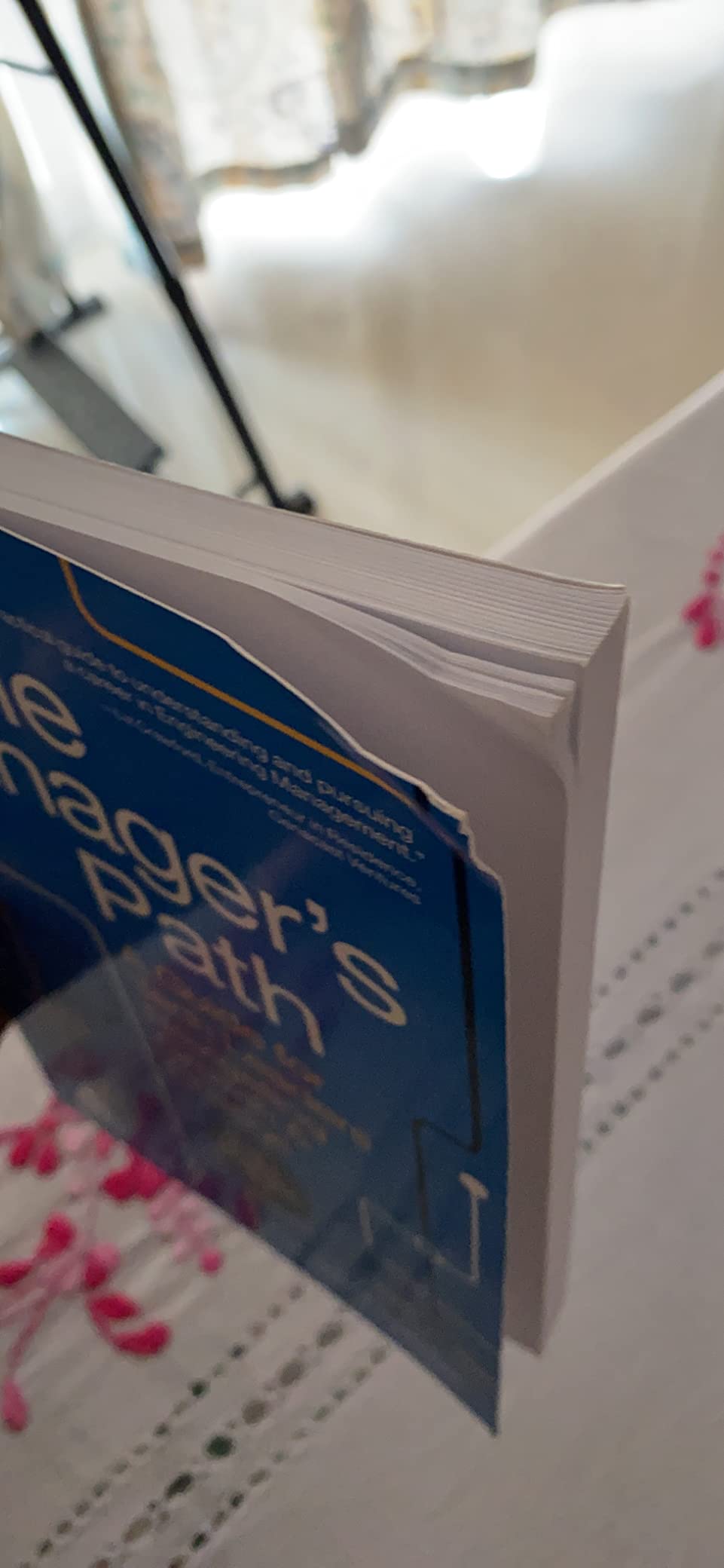 The Manager's Path: A Guide for Tech Leaders Navigating Growth and ...