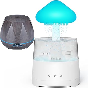Amazon.com: Diffuserlove Essential Oil Diffuser Diffuser Cool Mist ...