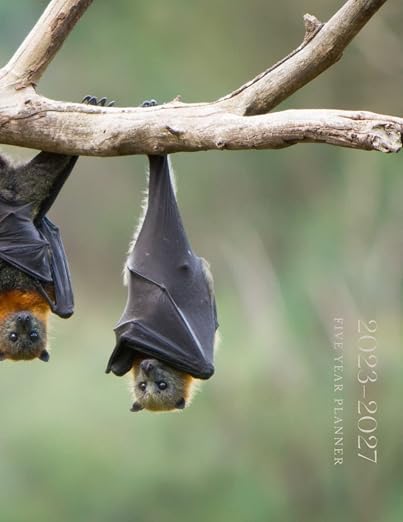 Amazon.com: 2023-2027 Five Year Planner: Bats and Wildlife 60-Month ...