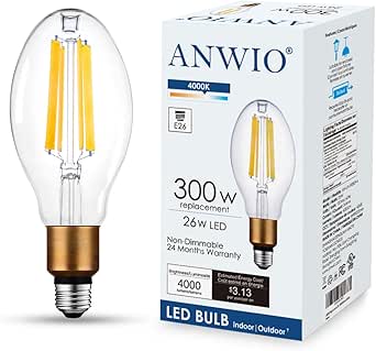 ANWIO LED ED28 Filament High Brightness Bulb, 26W(300W Incandescent ...