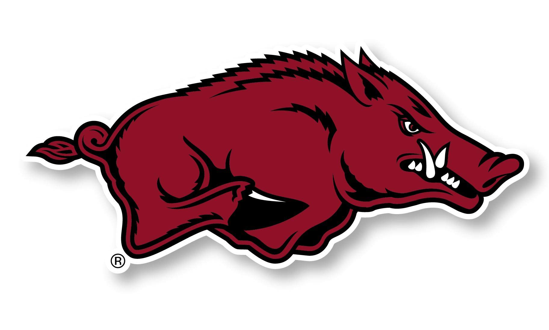 Amazon.com: Arkansas Razorbacks 4 Inch Vinyl Mascot Decal Sticker ...