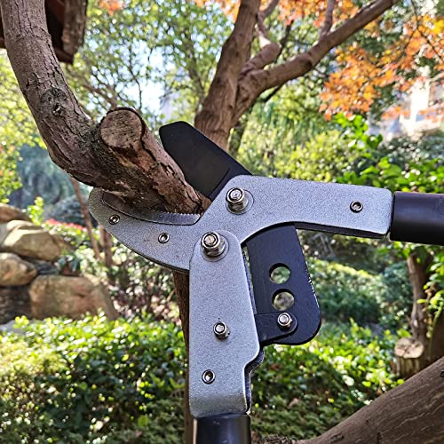 Snapklik.com : YRTSH Loppers Branch Cutter Tree Trimmer Extendable Lopper