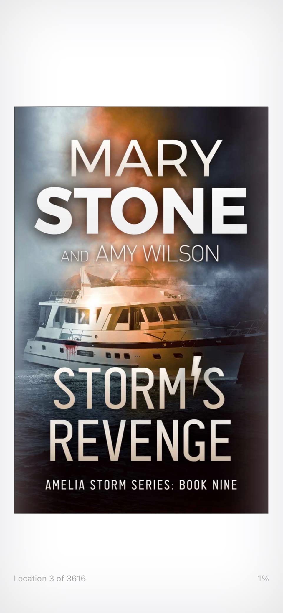 Amazon.com: Storm's Revenge (Amelia Storm FBI Mystery Series Book 9 ...