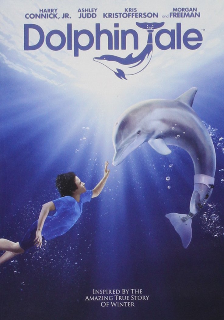 Dolphin Tale Book
