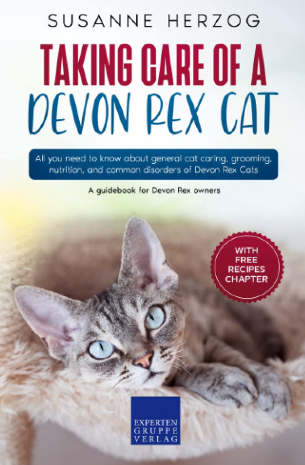 Taking care of a Devon Rex Cat: All you need to know about general cat ...