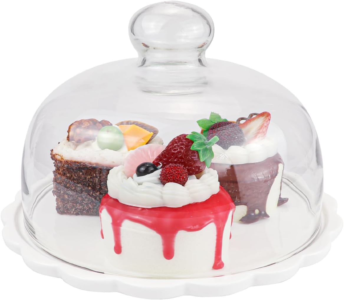 Amazon.com: DOERDO Round Cake Tray with Dome Ceramic Cake Plate Cake ...
