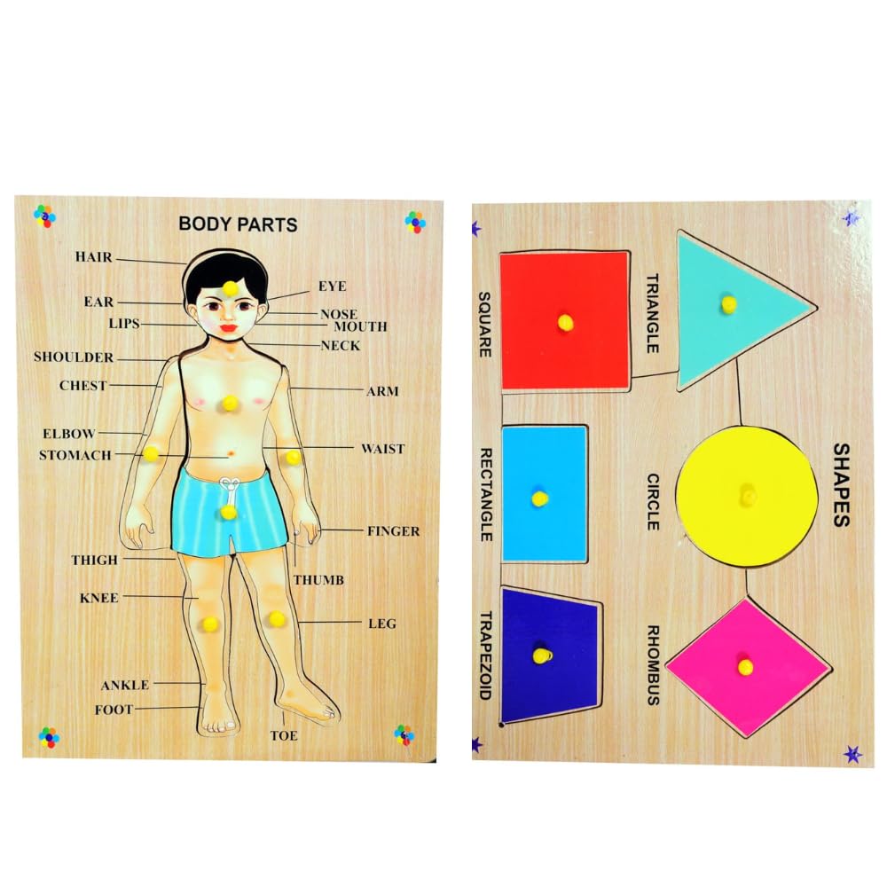 Human Body Parts and Shapes Wooden Puzzle for Kids : Amazon.in: Toys ...