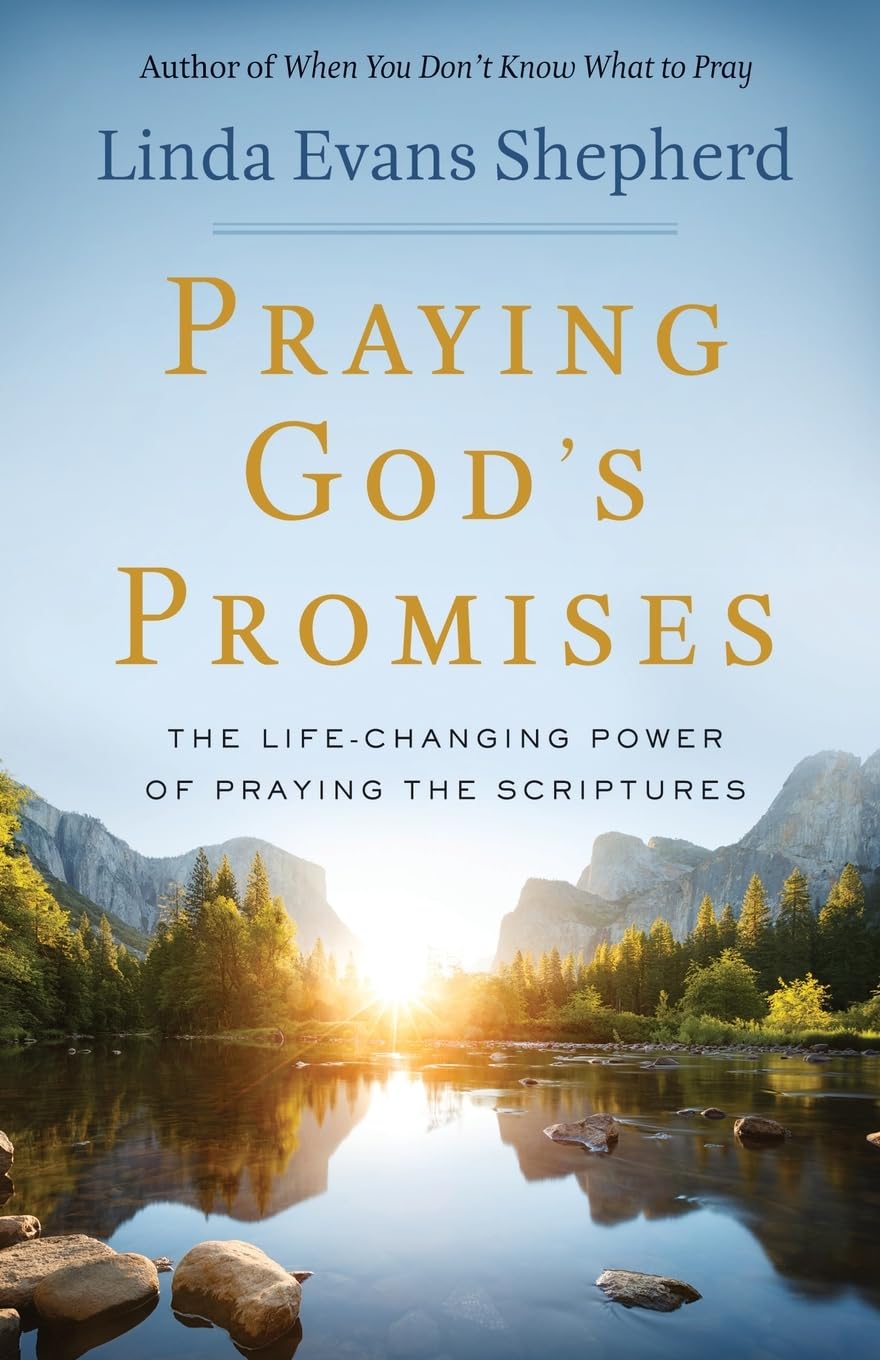 Praying God's Promises: The Life-Changing Power of Praying the ...