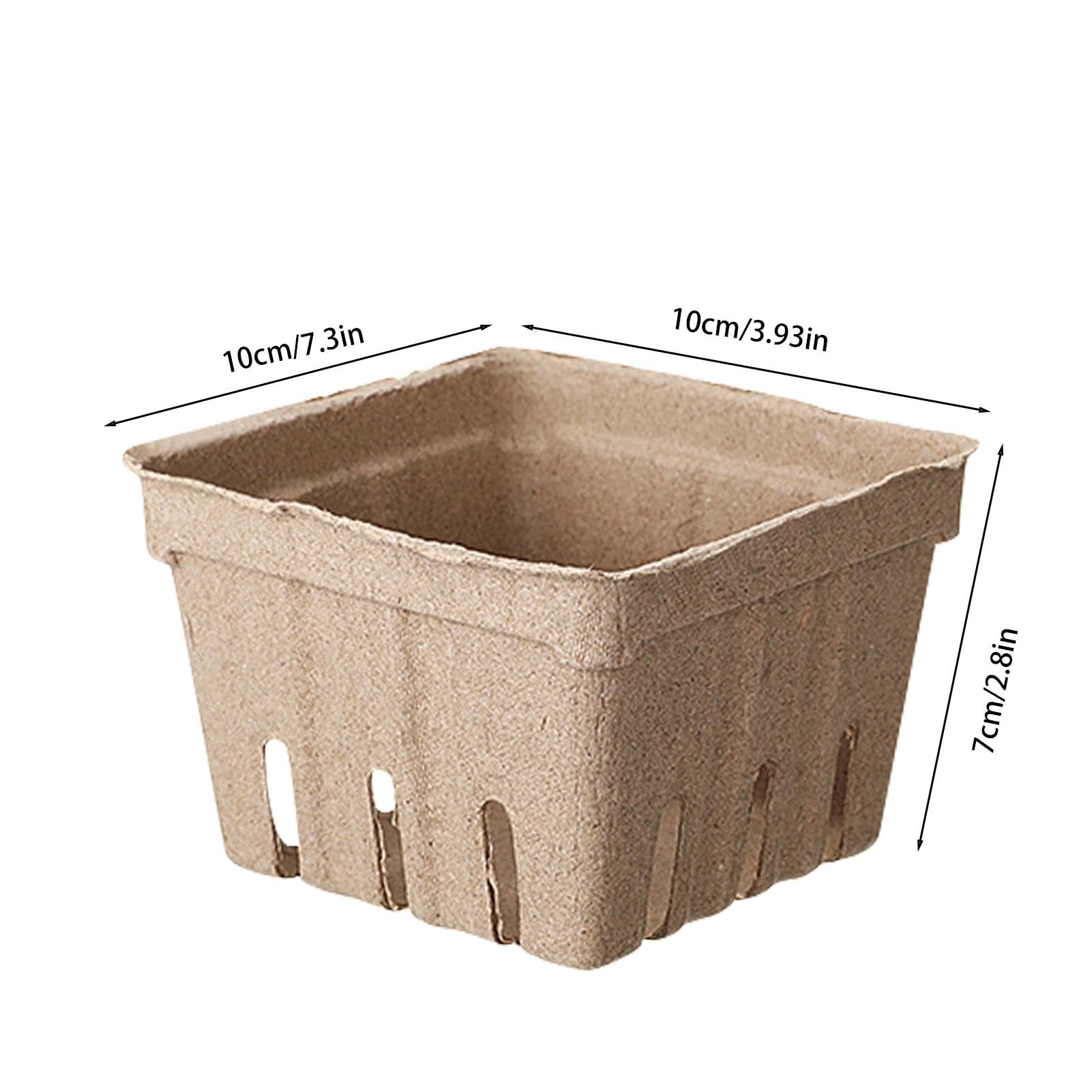 Cardboard Strawberry Baskets Fresh Strawberries Cardboard Boxes Juicy