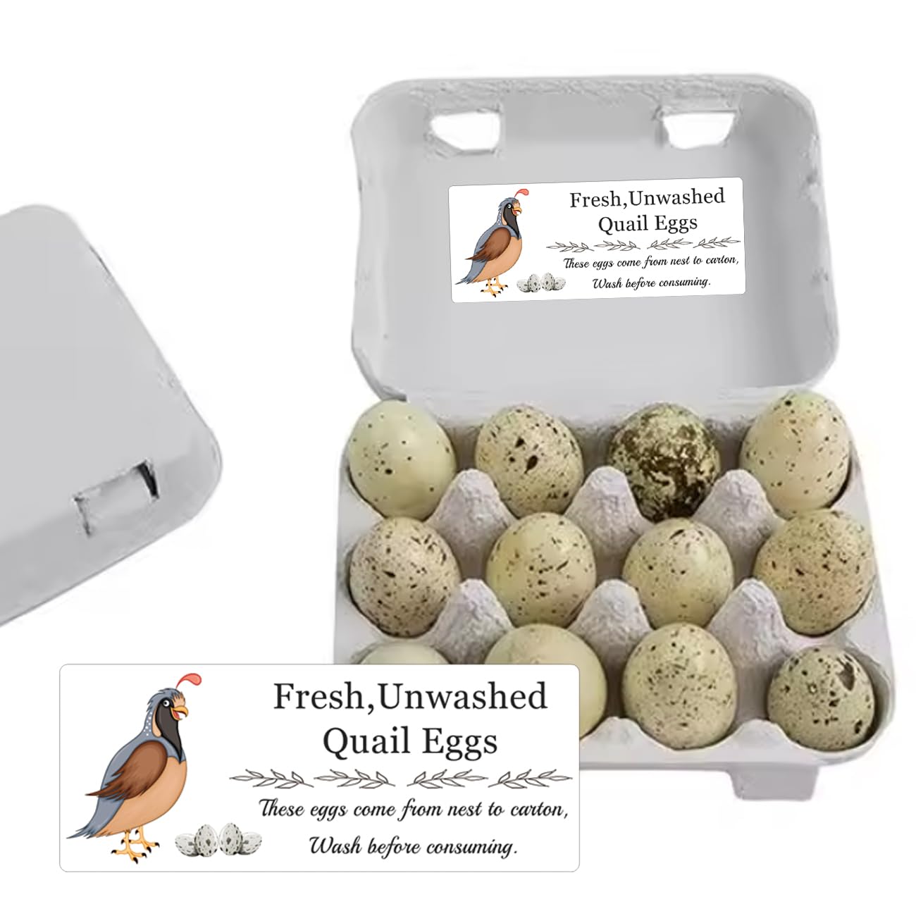 Snapklik.com : SMARSTICKER Unwashed Chicken Quail Duck Egg Carton ...