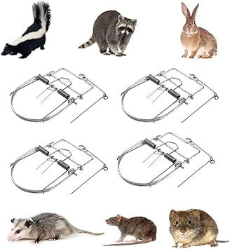 Amazon.com : 2 Pack Small Animal Traps Mouse Trap,Spring Trapt Rodent ...