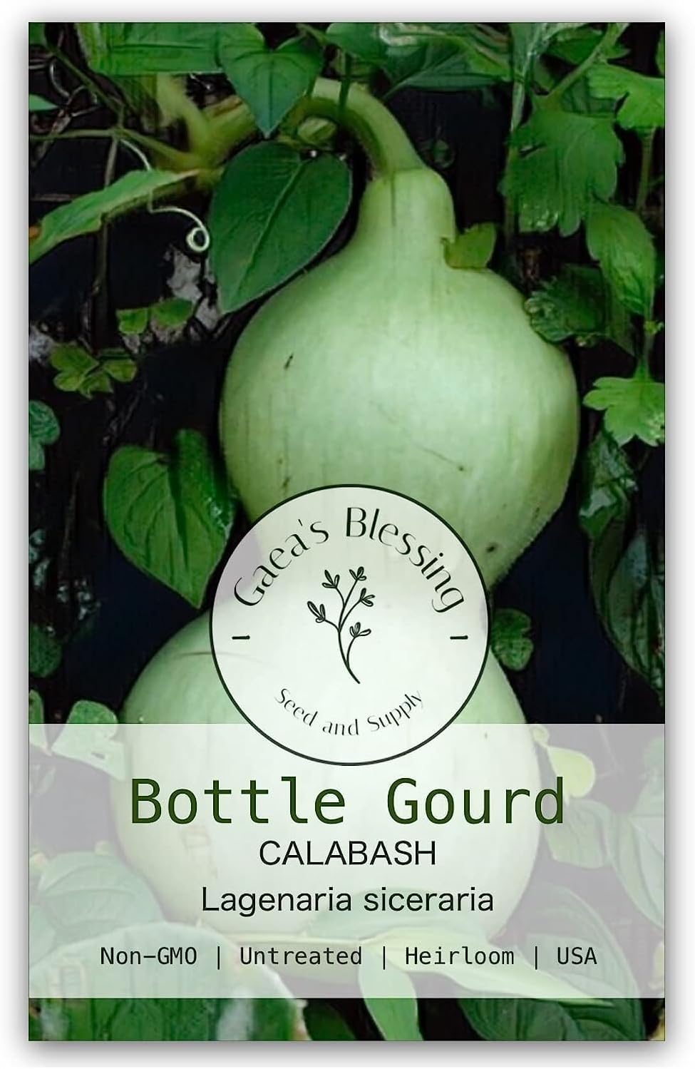 Amazon.com : Corsican Gourd Seeds – Hard-Shelled Basket Type Gourds ...